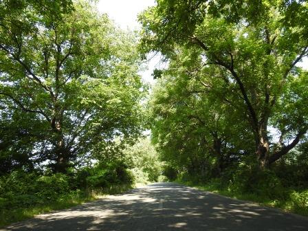 Tot ce trebuie să știi despre călătoria cu mașina în Bulgaria